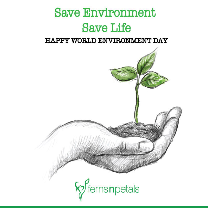 20+ Happy World Environment Day Quotes, Wishes, Slogan N Messages - FNP