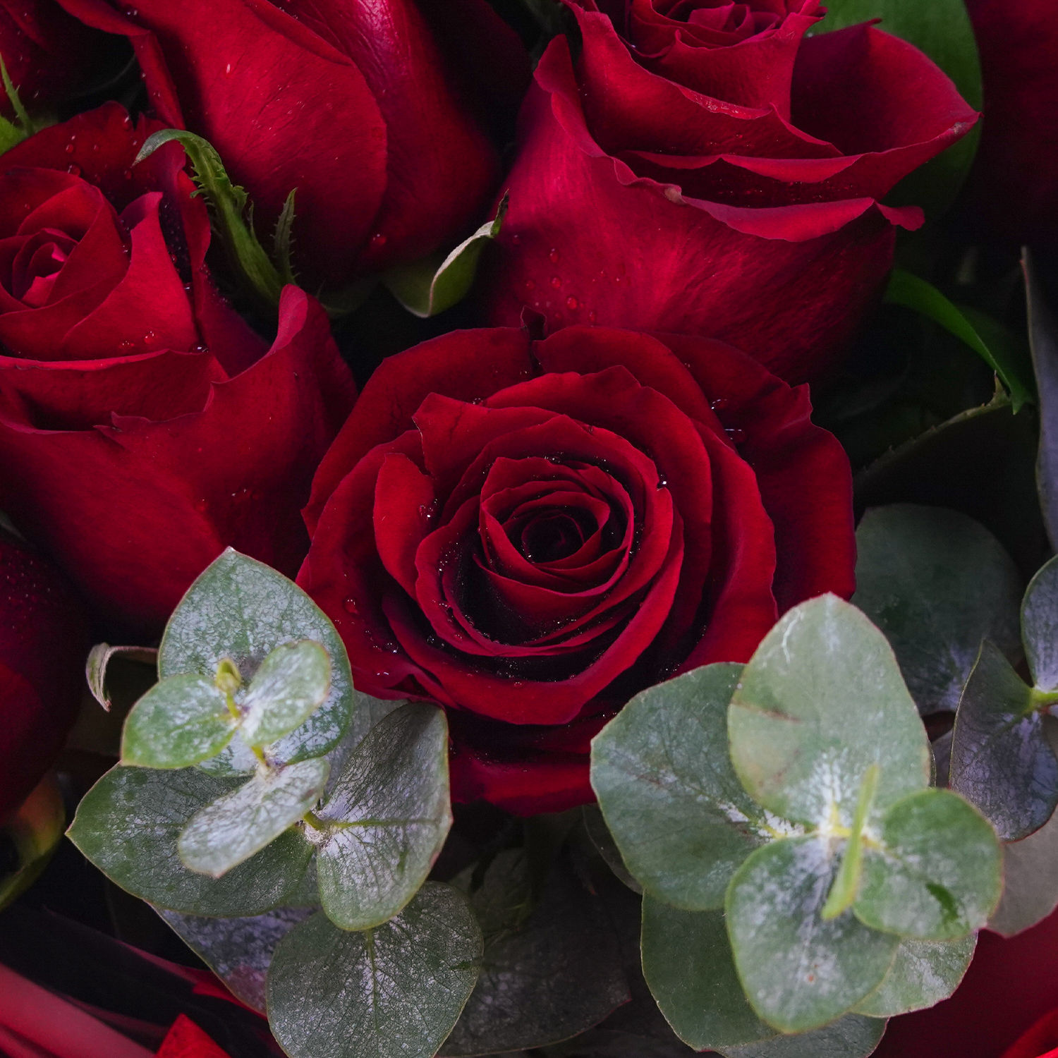 Online 13 Roses Bouquet Gift Delivery in Egypt - FNP
