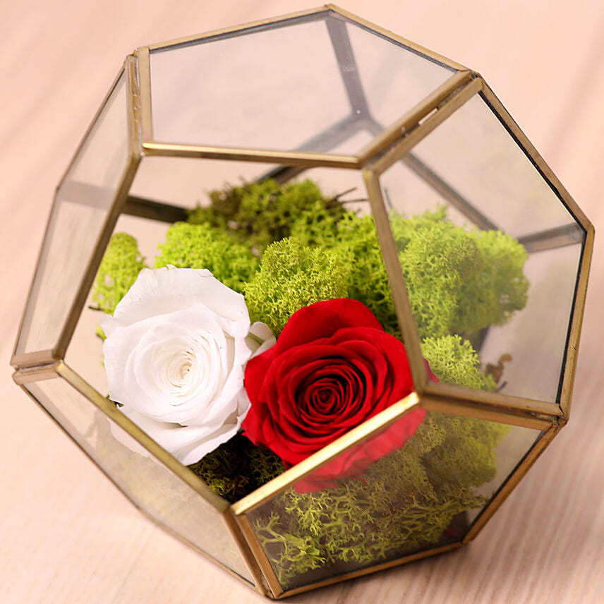 Online Red and White Roses In Designer Base Gift Delivery in UAE ...