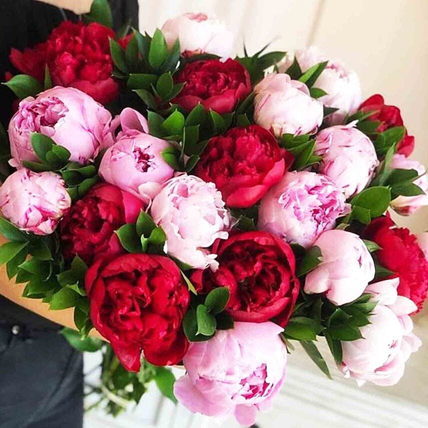 Peony Flower | White & Pink Peony | Peonies In Dubai - FNP