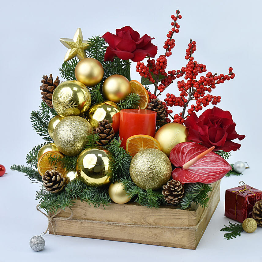 Christmas Flowers, Xmas flowers - FNP AE