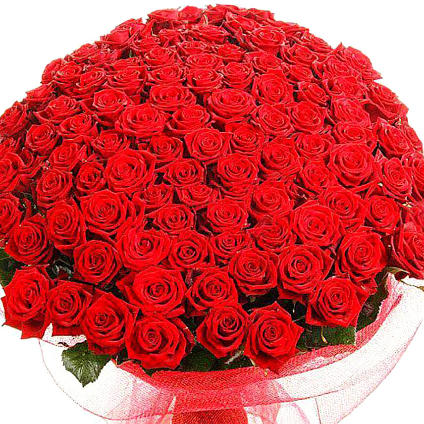 Online 500 Red Rose Bouquet Gift Delivery in Pakistan - FNP