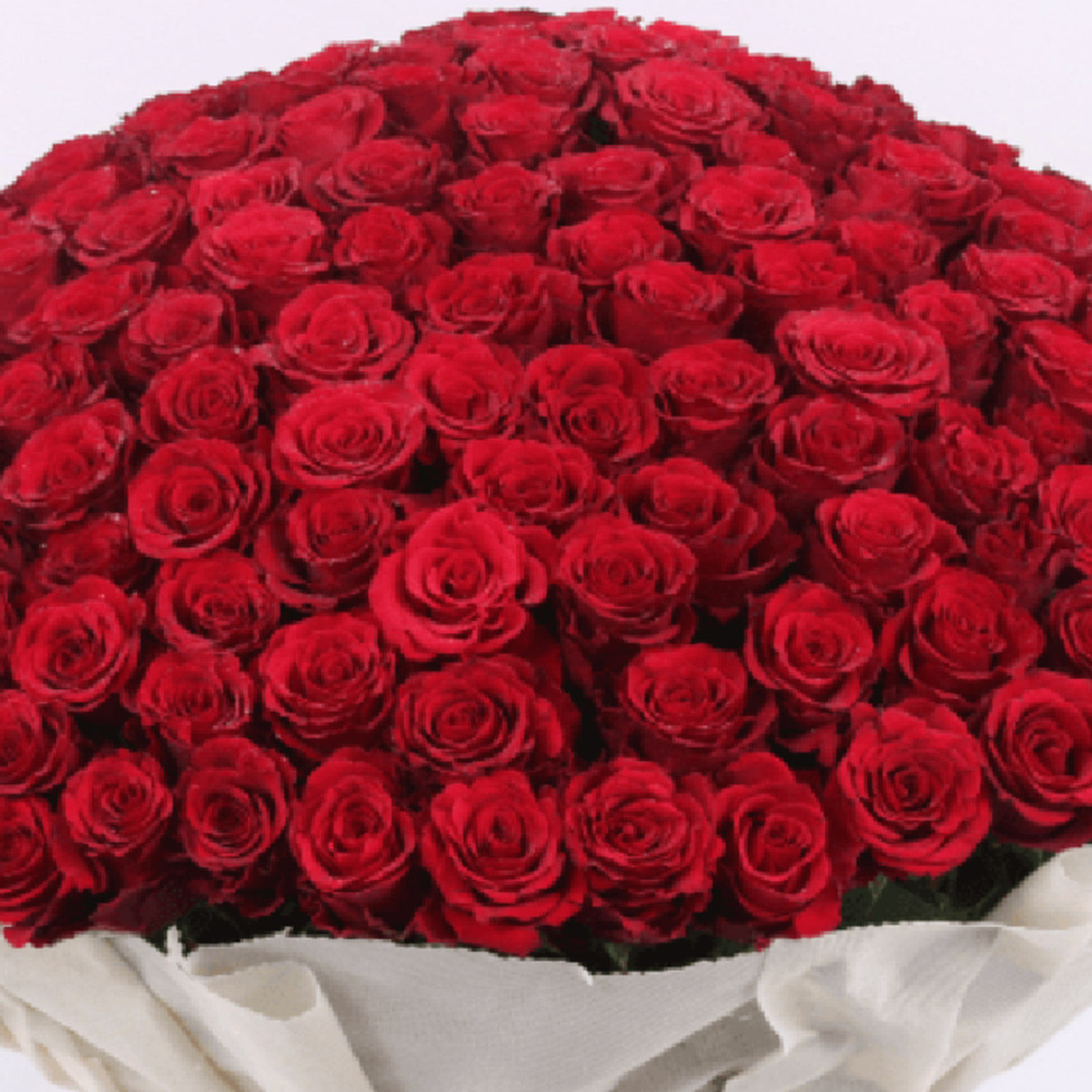Online 1001 Red Roses Bouquet Gift Delivery in Qatar - Ferns N Petals